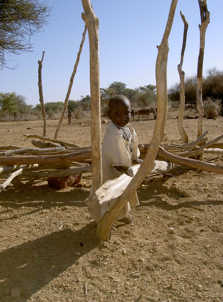 Reports on Help vital relief work in Darfur, Sudan - GlobalGiving