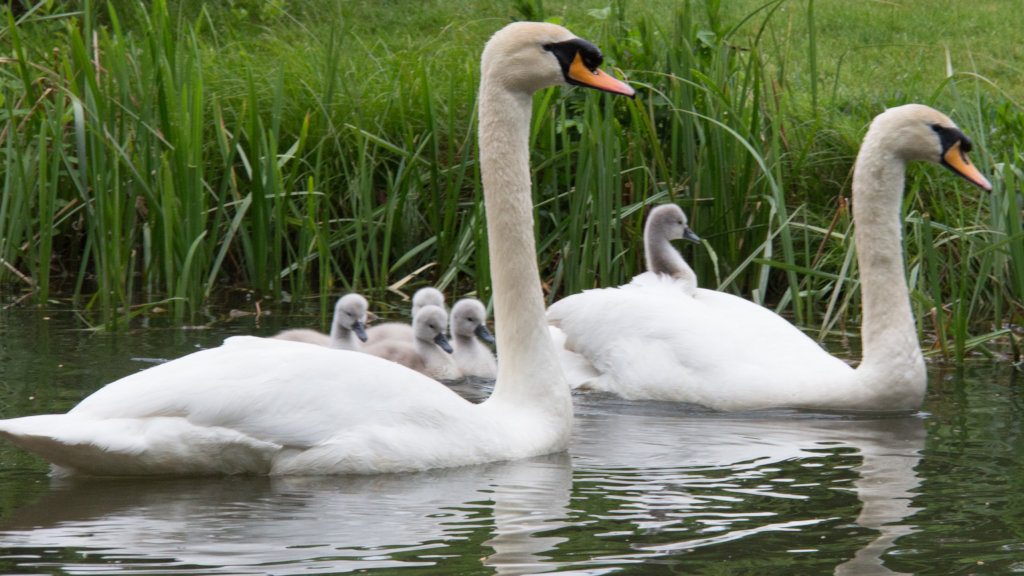 Reports on Climate Action Now - GlobalGiving