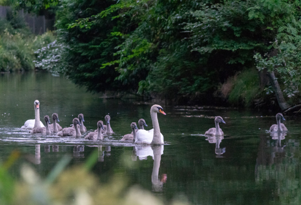 Climate Action Now - GlobalGiving