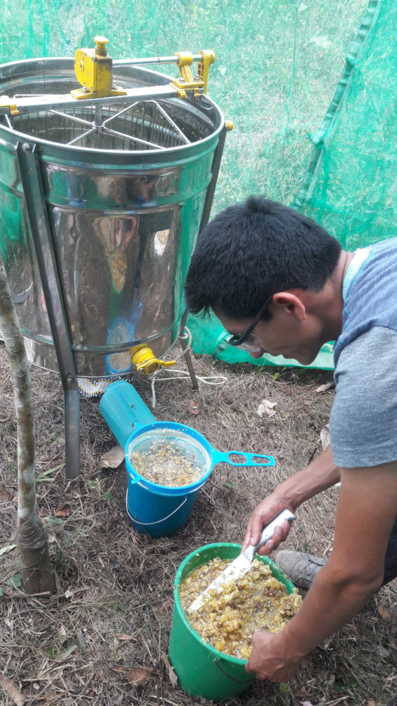 Sustainable Livelihoods for 100 Families - GlobalGiving