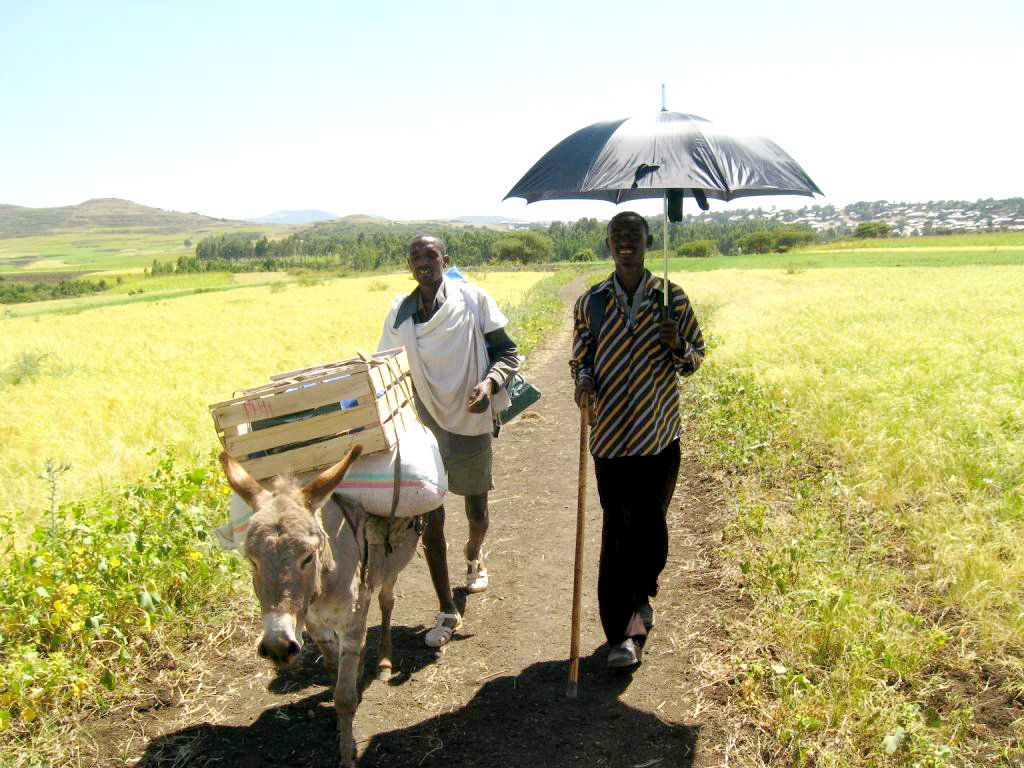 Donkey library for 1,250 rural Ethiopian children - GlobalGiving