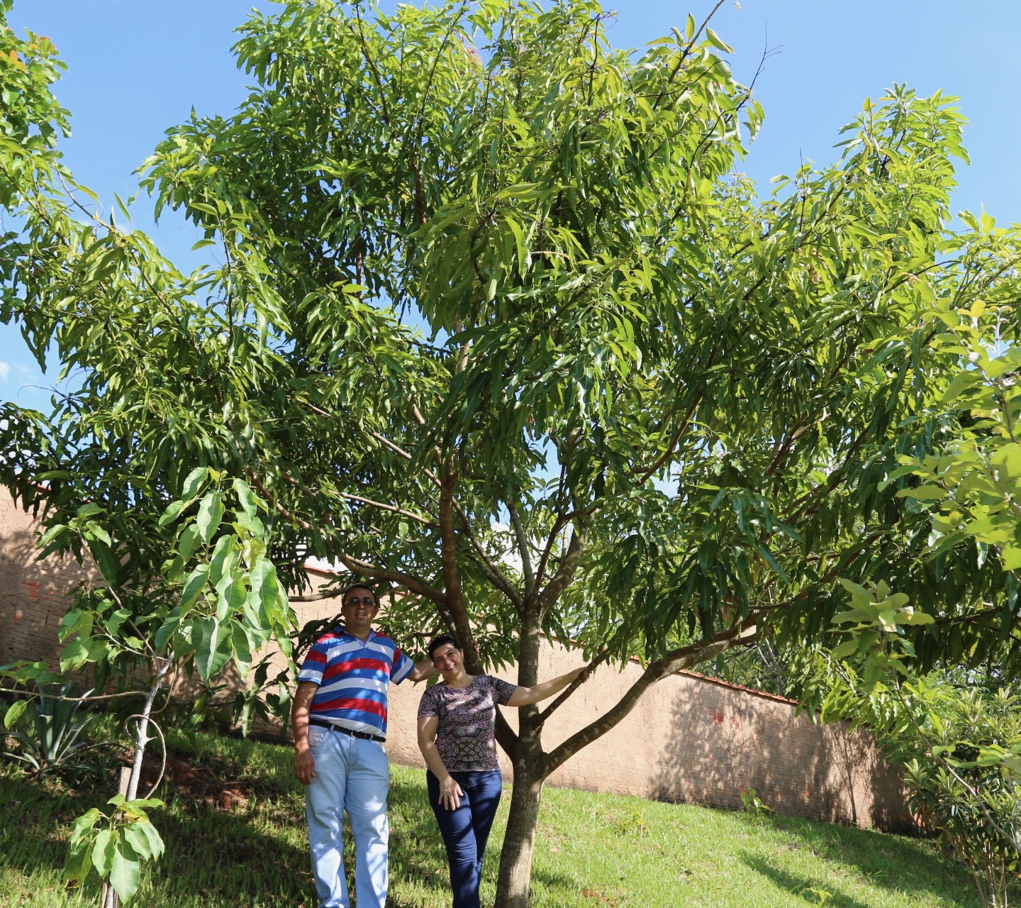 Photos from Replanting fruit trees in Brazil - GlobalGiving