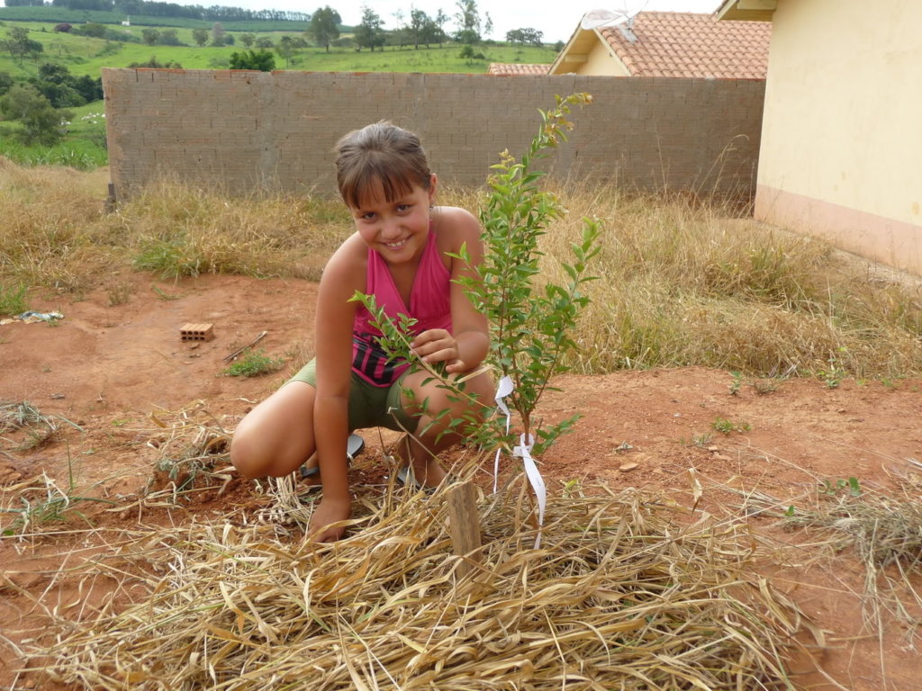 Replanting fruit trees in Brazil - GlobalGiving