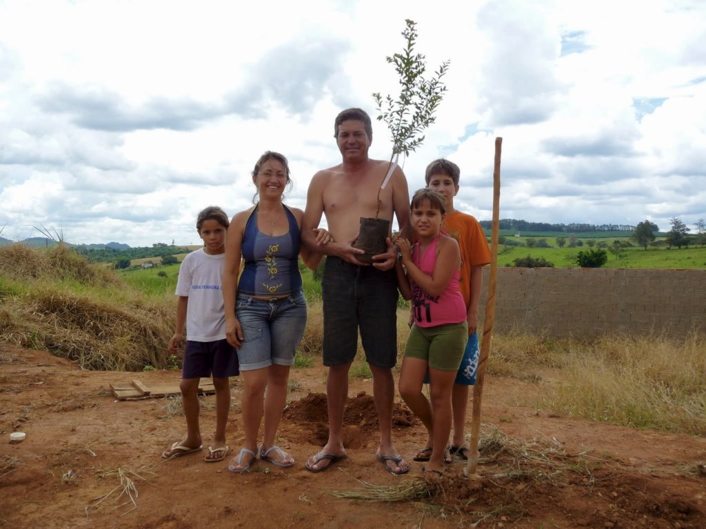Replanting fruit trees in Brazil - GlobalGiving