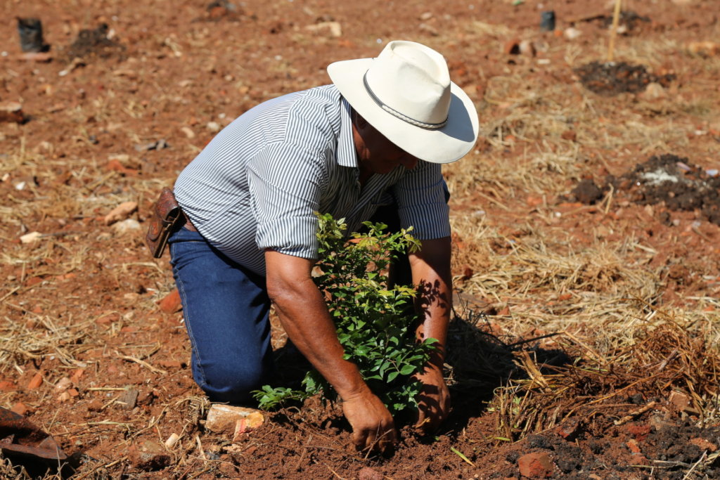 Replanting fruit trees in Brazil - GlobalGiving