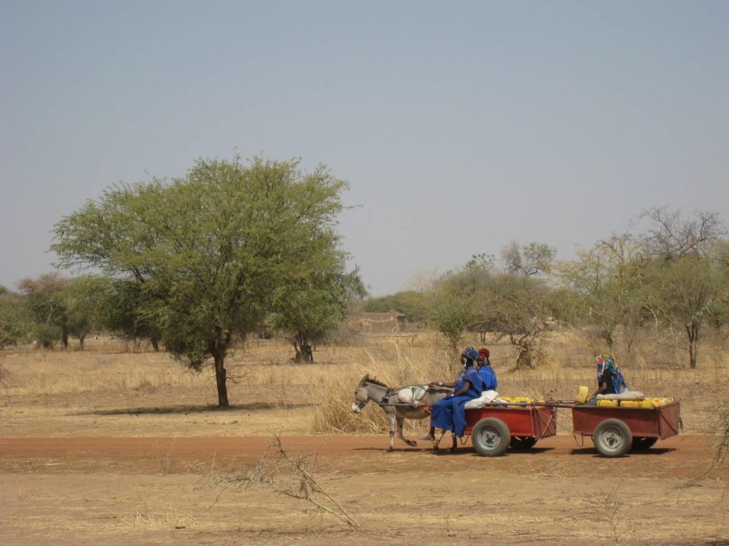 Help rural farmers in Africa gain access to land - GlobalGiving