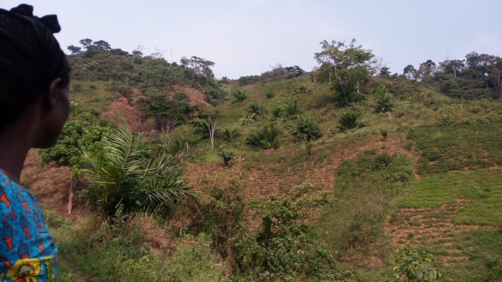Women and climate change in the DRC - GlobalGiving
