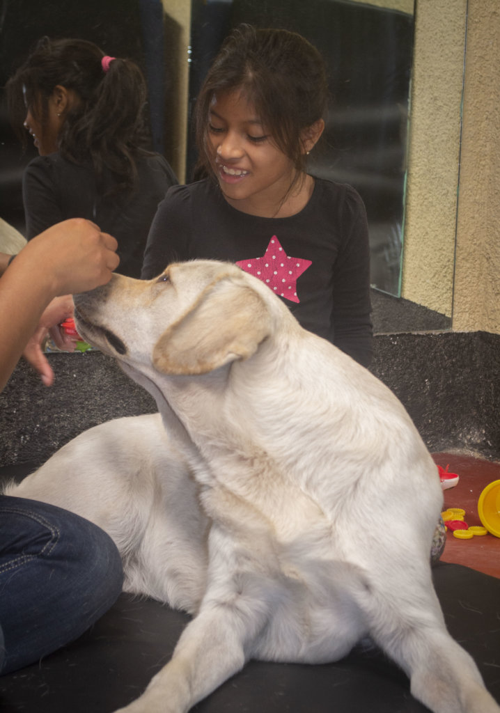 Animal Assisted Therapy for Children in Guatemala - GlobalGiving