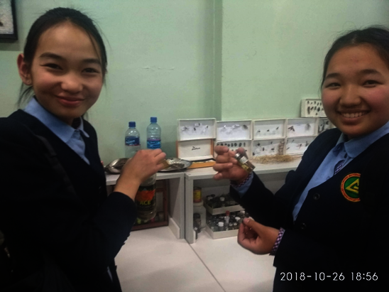 STEM&Computer Science Center for Girls in Mongolia - GlobalGiving