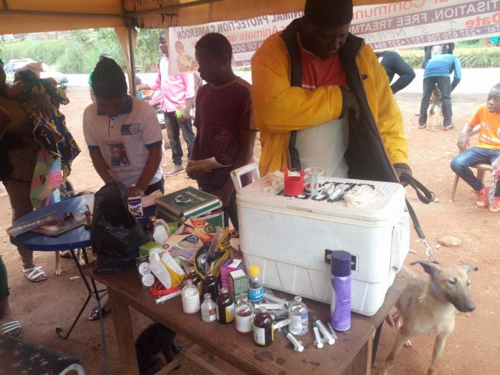 Save hundreds of dogs in rural Cameroon. - GlobalGiving