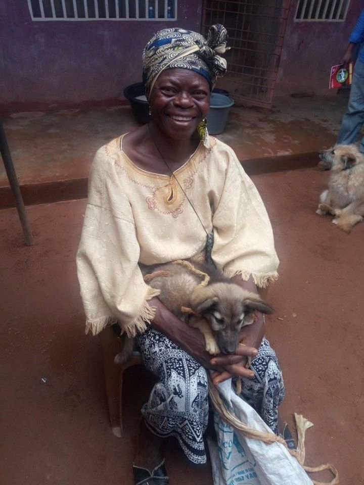 Save hundreds of dogs in rural Cameroon. - GlobalGiving