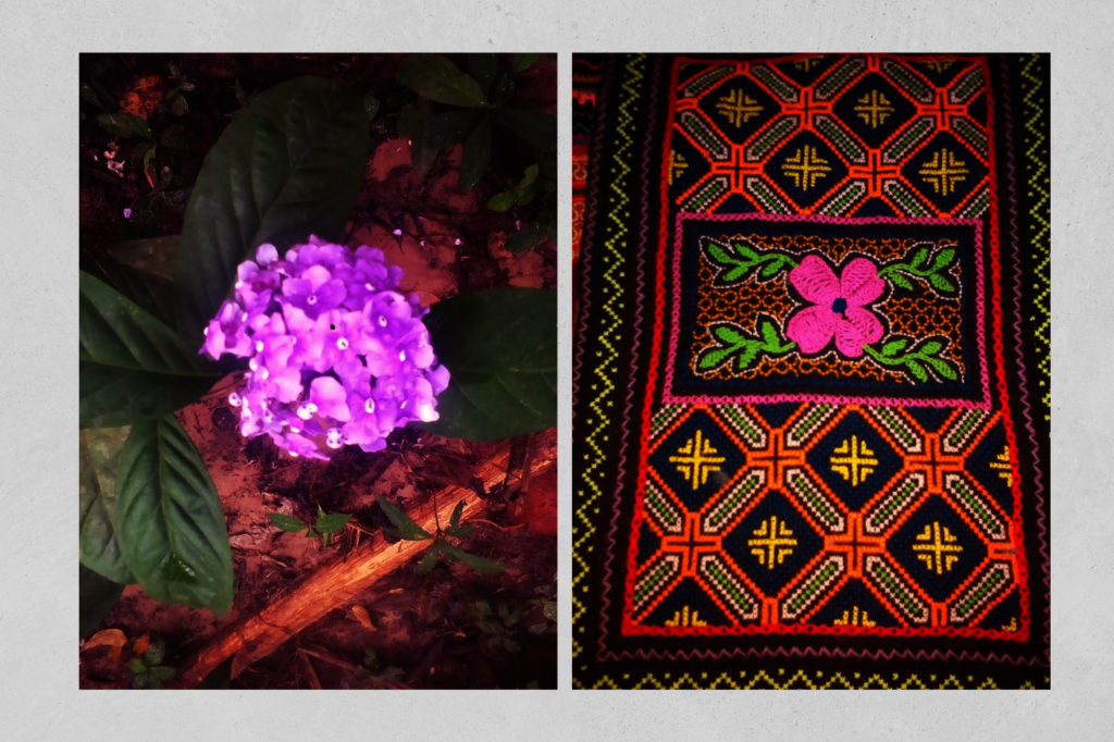 Reports on Support Indigenous Medicinal Gardens in the Amazon ...