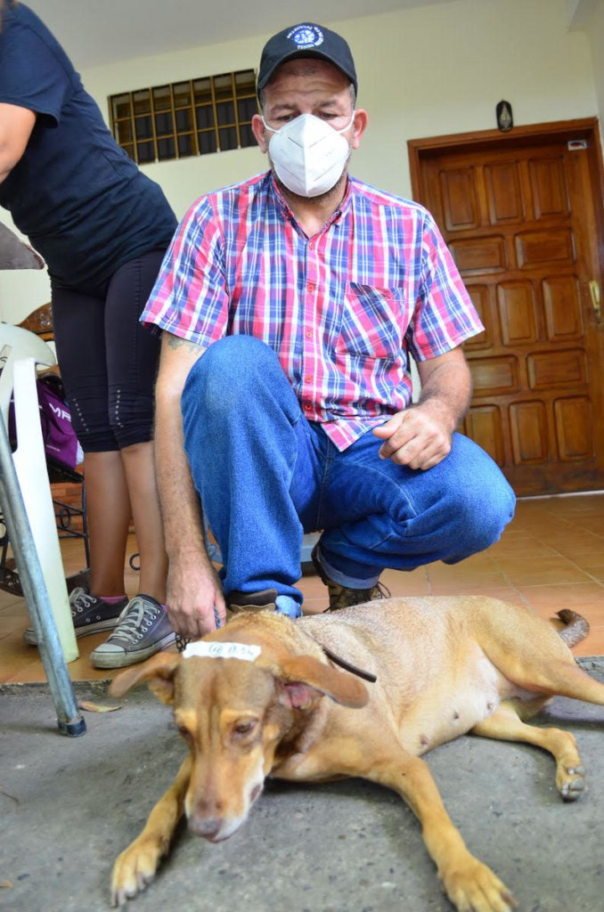 Reports on Help us stop cancerous tumours in Venezuelan dogs - GlobalGiving