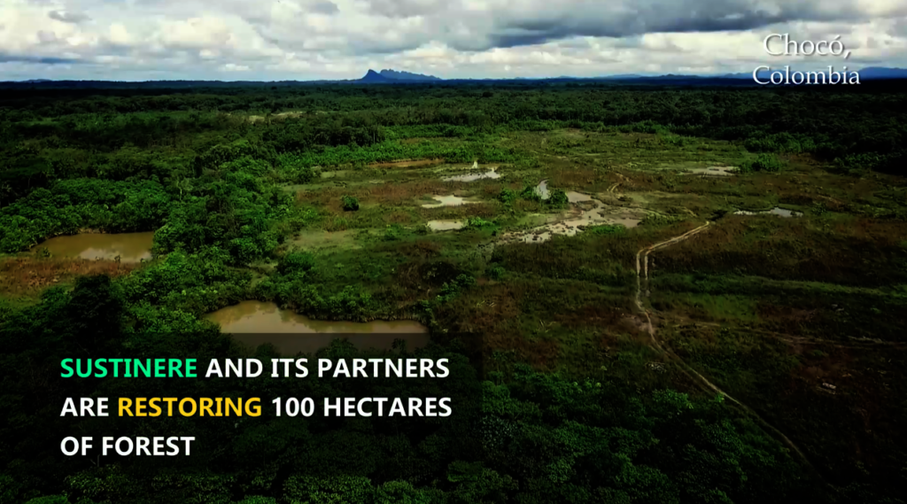 Plant 100 Hectares, Support 100 Families in Choco - GlobalGiving