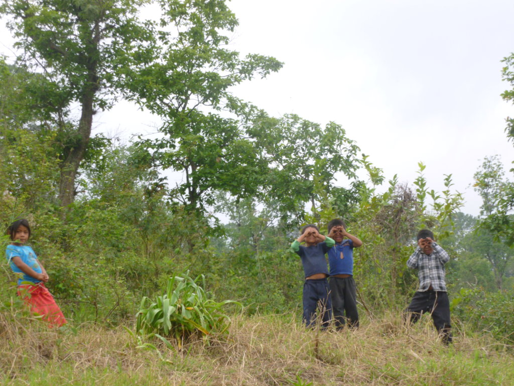 Support networks for NGO's and indigenous peoples - GlobalGiving