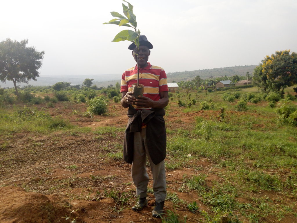 HELP TO ENHANCE PREVENTING POVERTY WITH TREES - GlobalGiving