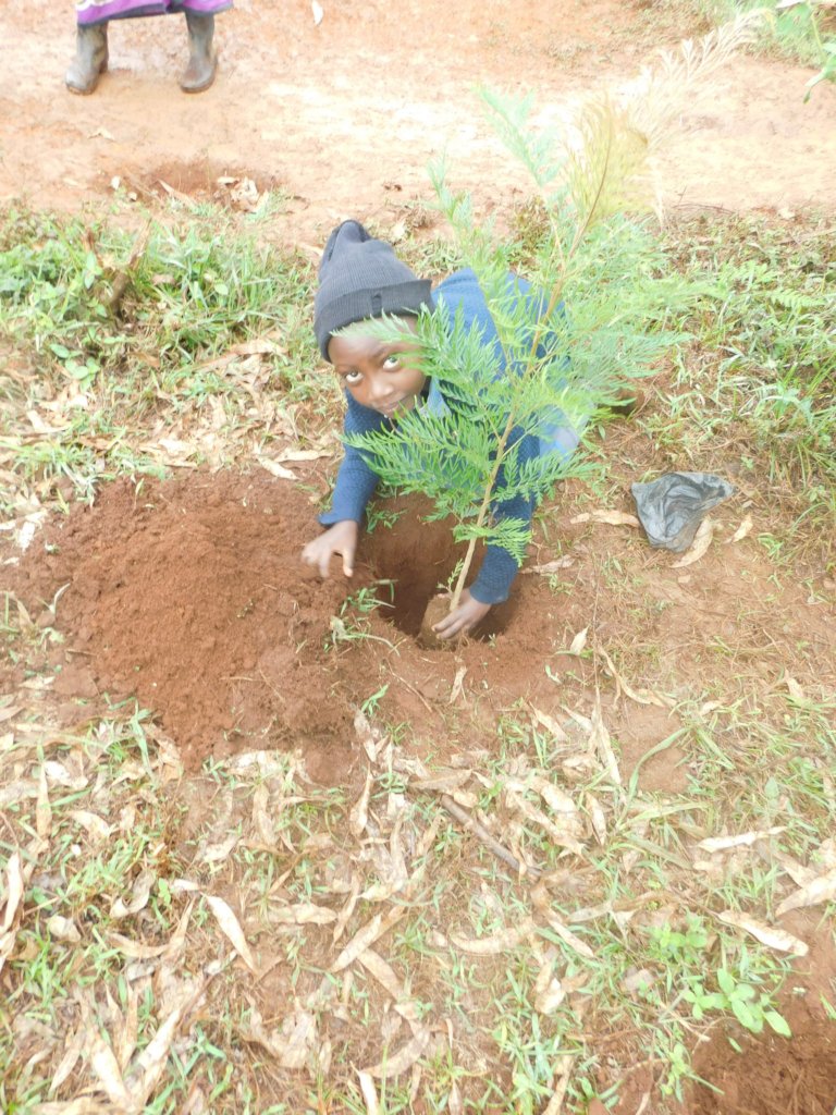 School Greening Programme for Kenyan Pupils - GlobalGiving
