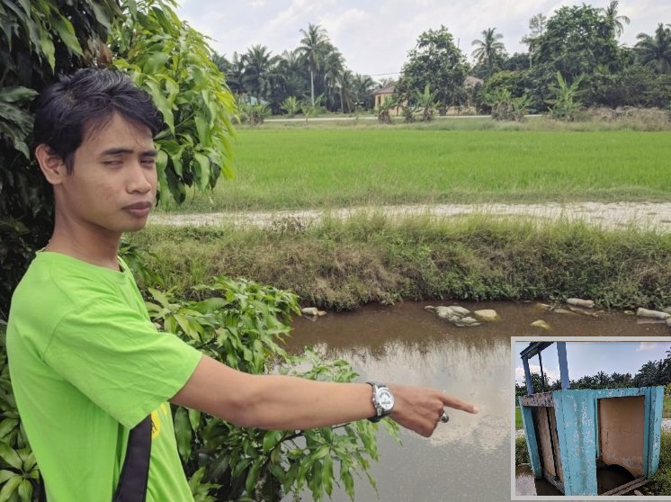 Malaysian rice community reducing water pollution - GlobalGiving