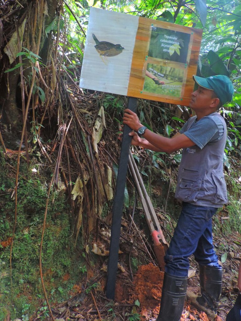 Adopt a Forest Guard & Save Colombia's Wildlife - GlobalGiving