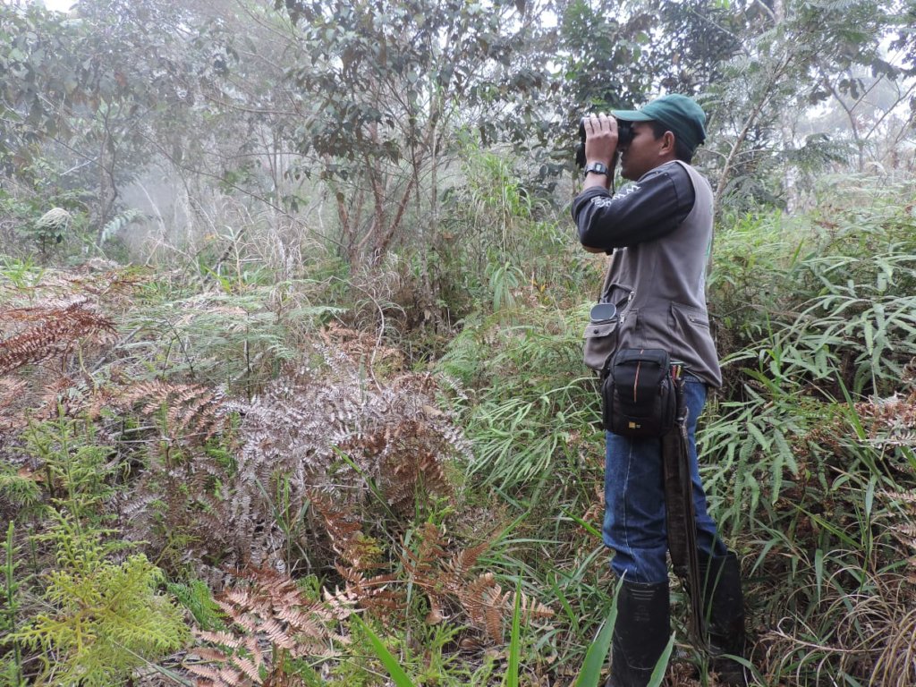 Adopt a Forest Guard & Save Colombia's Wildlife - GlobalGiving