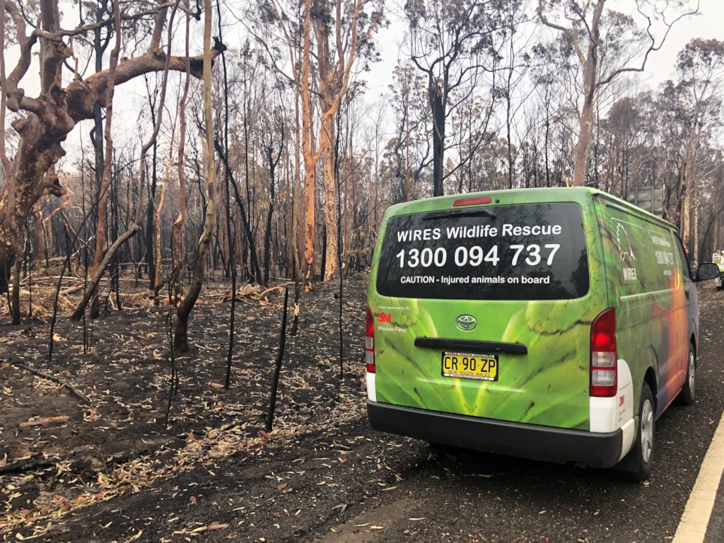 Aussie Wildlife Recovery & Emergency Preparedness - GlobalGiving