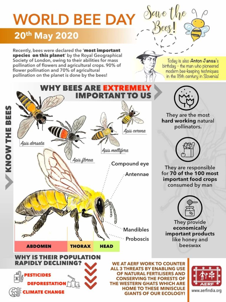 Movement for conserving bees in the Western Ghats - GlobalGiving