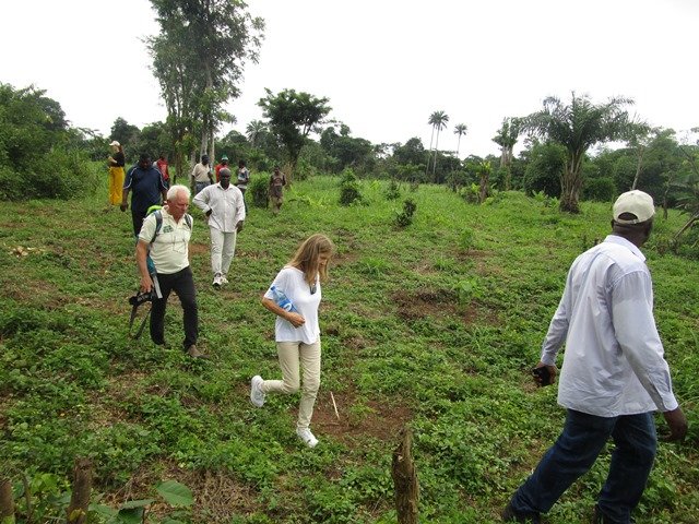 Plant 1 Million Trees for Peace - GlobalGiving