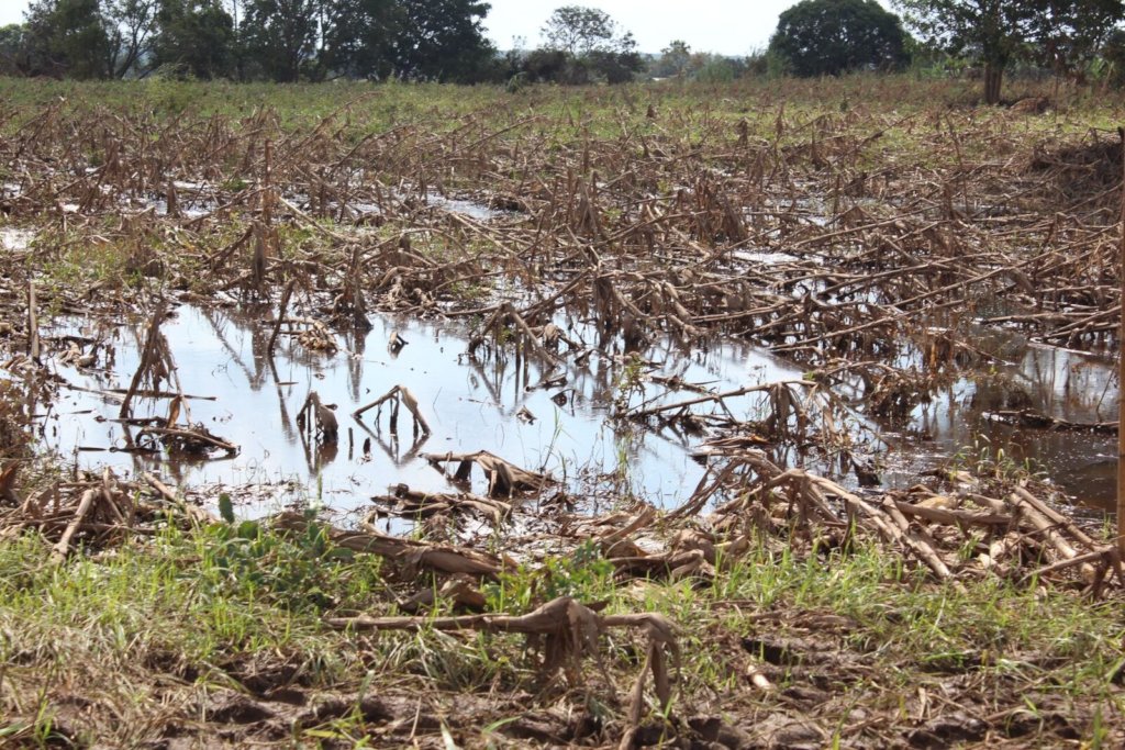 Cyclone Idai Emergency Relief (Feeding and Health) - GlobalGiving