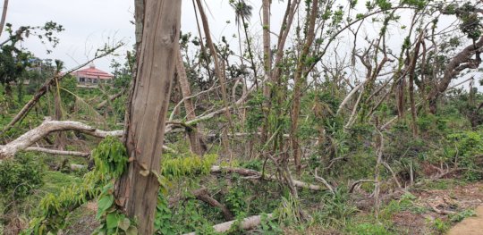 Relief to Cyclone FANI victims - GlobalGiving