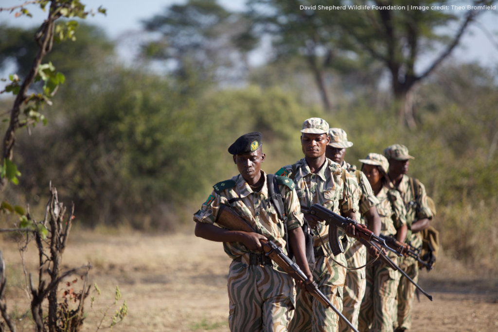 Photos from Wildlife Rangers - GlobalGiving