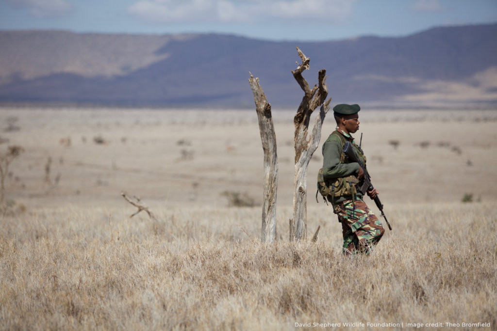 Reports on Wildlife Rangers - GlobalGiving