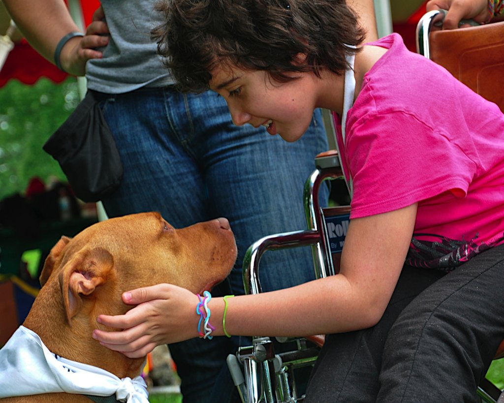 Expand Animal-Assisted Therapy In Chicago - GlobalGiving