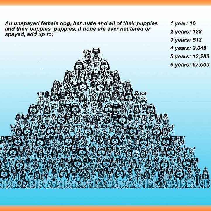 NAWRC GG Project - GlobalGiving