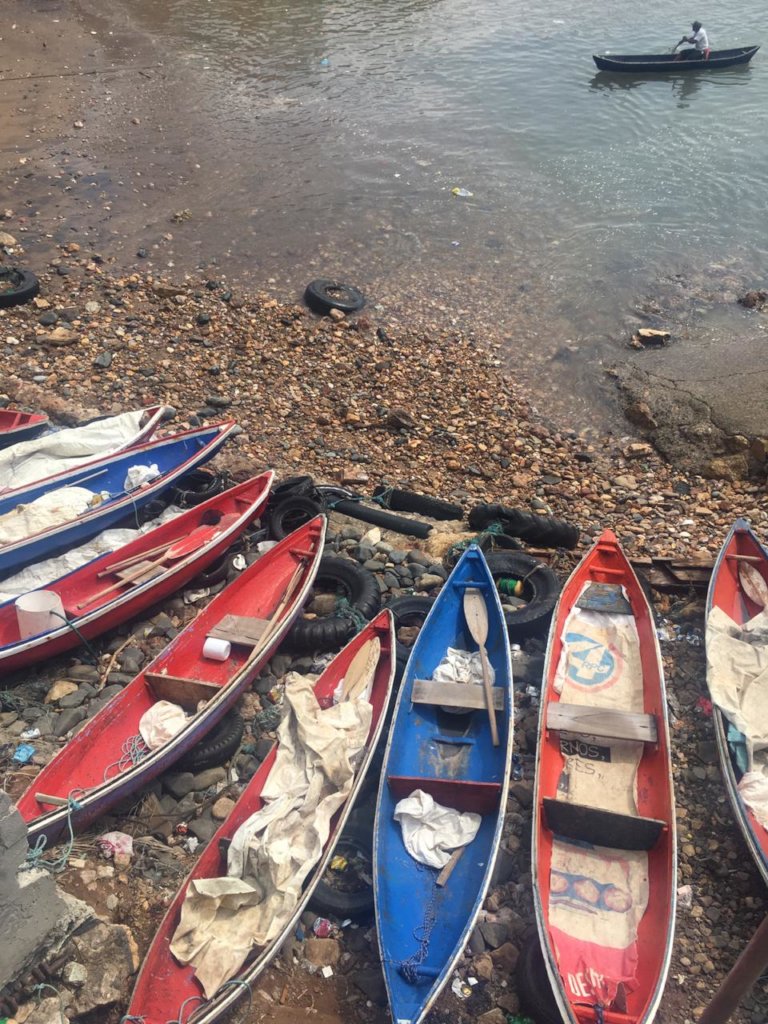 Save island from becoming a petroleum terminal - GlobalGiving