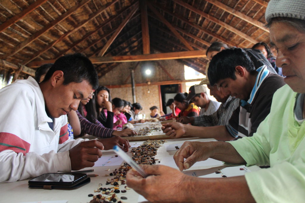 Empowering 50 rural young people in Oaxaca, Mexico - GlobalGiving