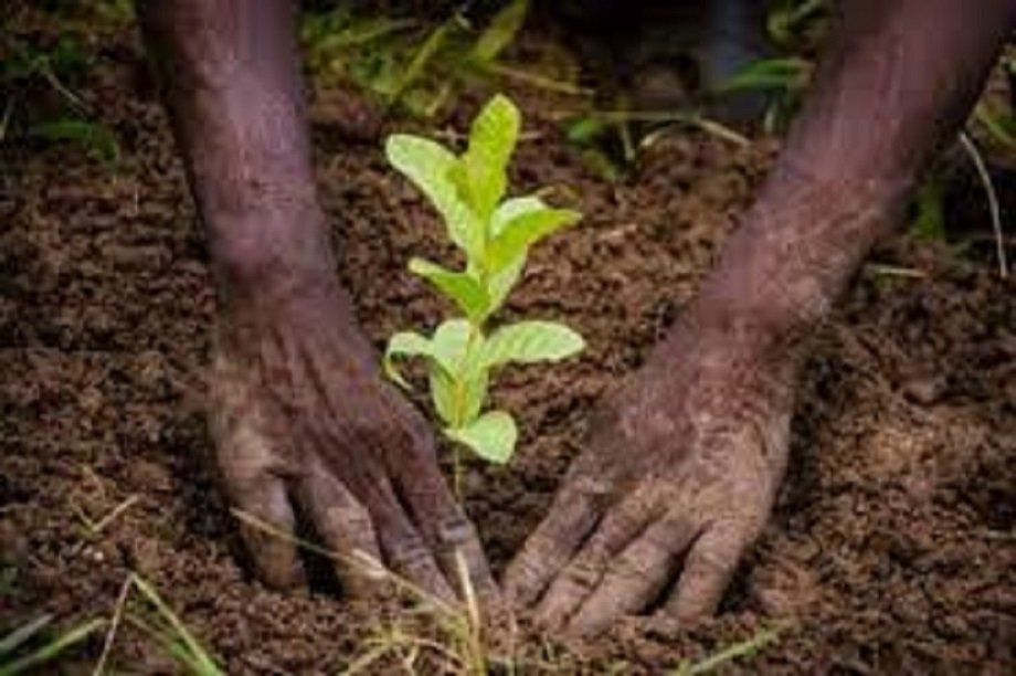 Let's help Indigenous women of Mwenga - GlobalGiving