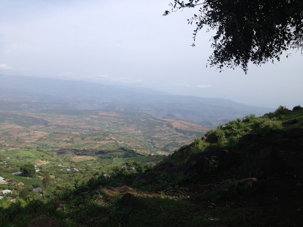 Help Ethiopian Indigenous Medicine Research Centre - GlobalGiving