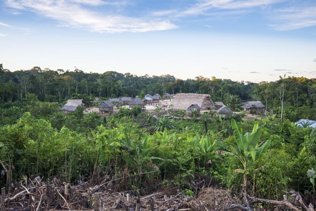 Protect the Amazon Rainforest and its Guardians - GlobalGiving