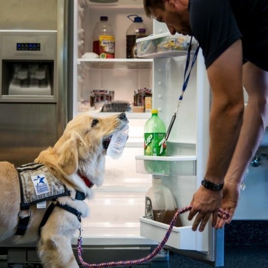 Support Mission Based Trauma Recovery for Vets - GlobalGiving