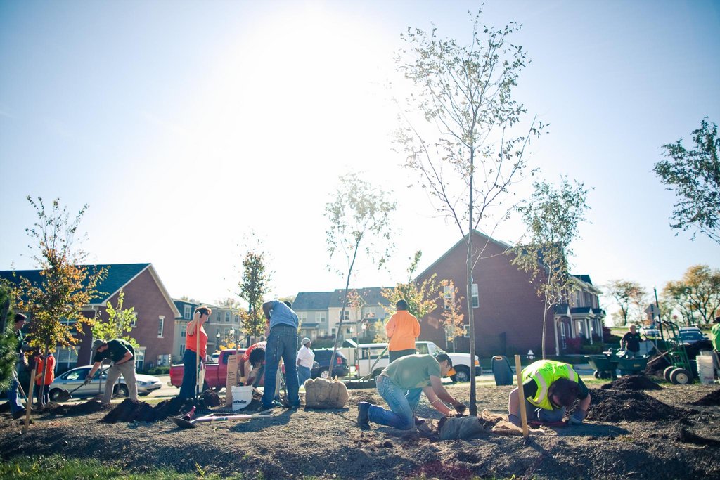 Reports on Plant trees in low-income U.S. neighborhoods - GlobalGiving