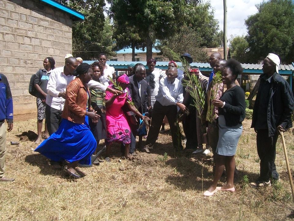 Help to development and conservation in Molo. - GlobalGiving