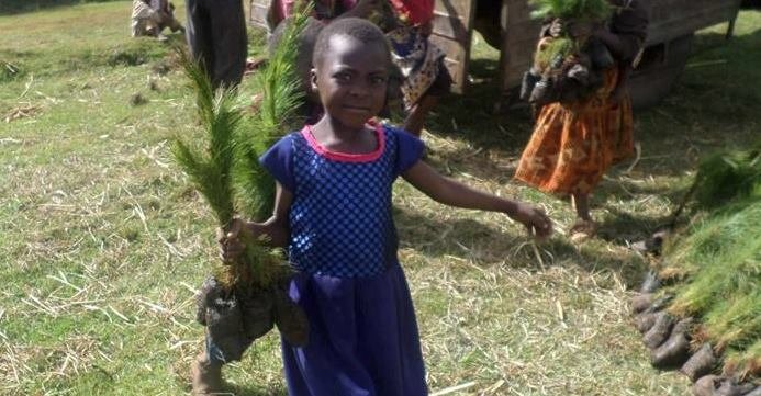 Help to development and conservation in Molo. - GlobalGiving