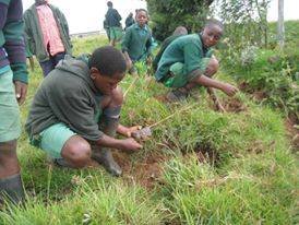 Help to development and conservation in Molo. - GlobalGiving