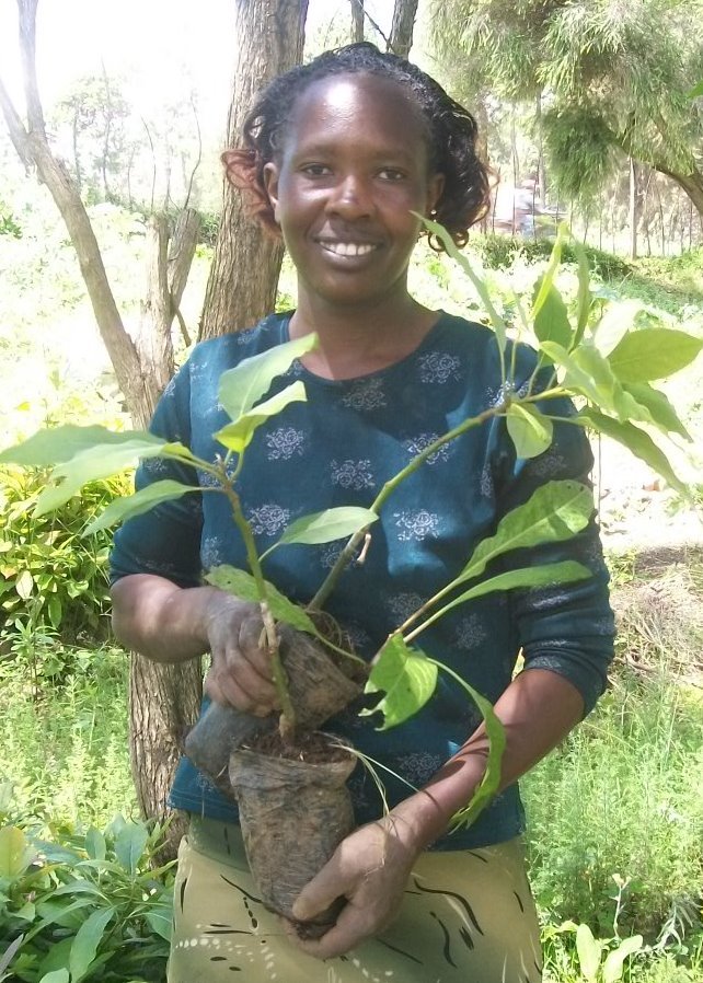 Help to development and conservation in Molo. - GlobalGiving