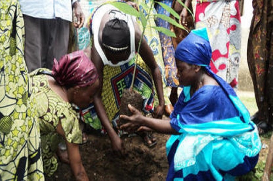Let's help Indigenous women of Mwenga - GlobalGiving