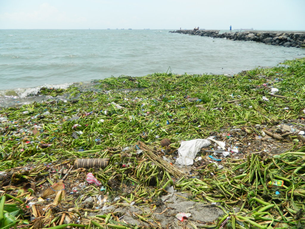 Help BASECO Community Build Climate Resilience - GlobalGiving