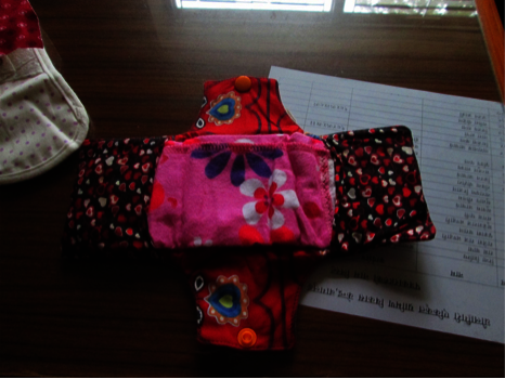 The 100% Project - GlobalGiving