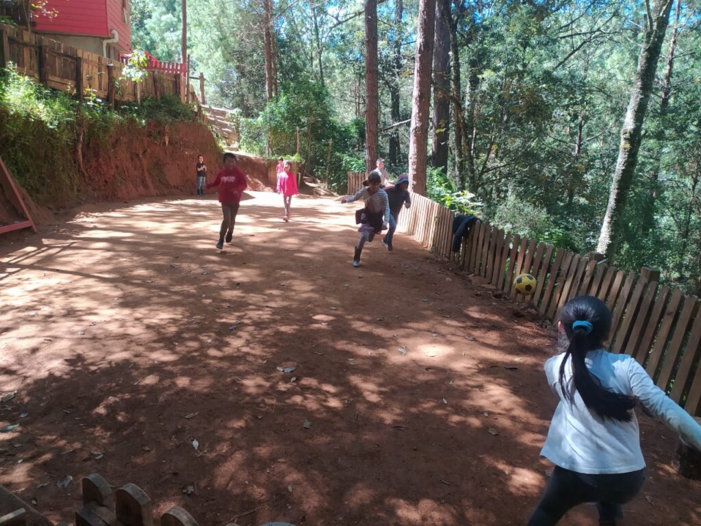 Reports on Transforming Lives through Education Rural Oaxaca - GlobalGiving