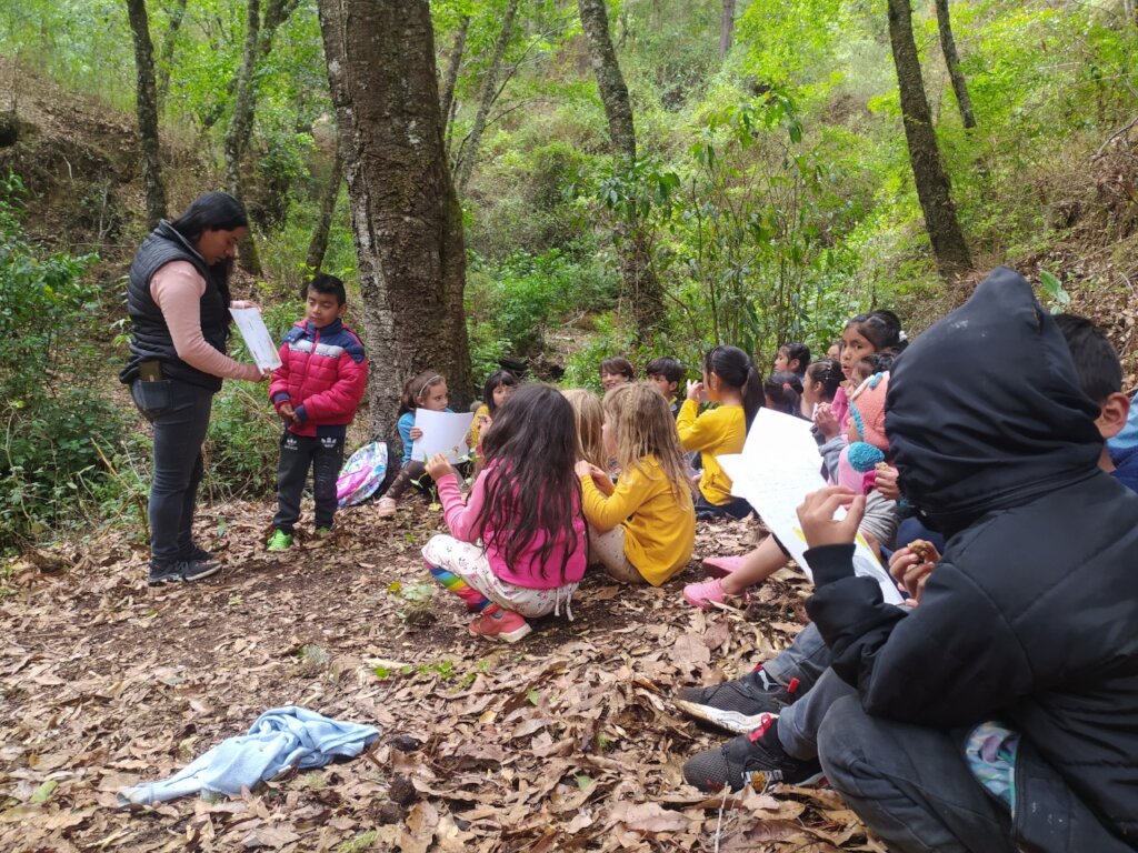 Reports on Transforming Lives through Education Rural Oaxaca - GlobalGiving