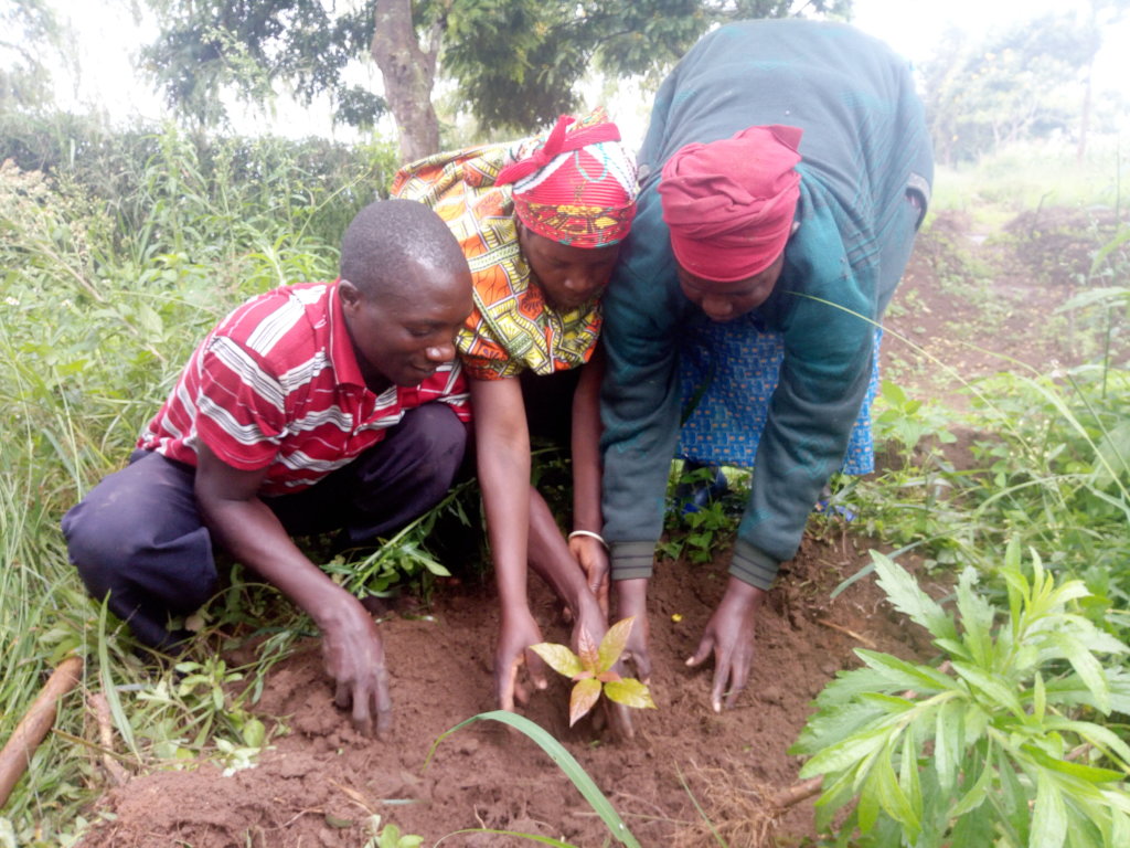 HELP TO ENHANCE PREVENTING POVERTY WITH TREES - GlobalGiving